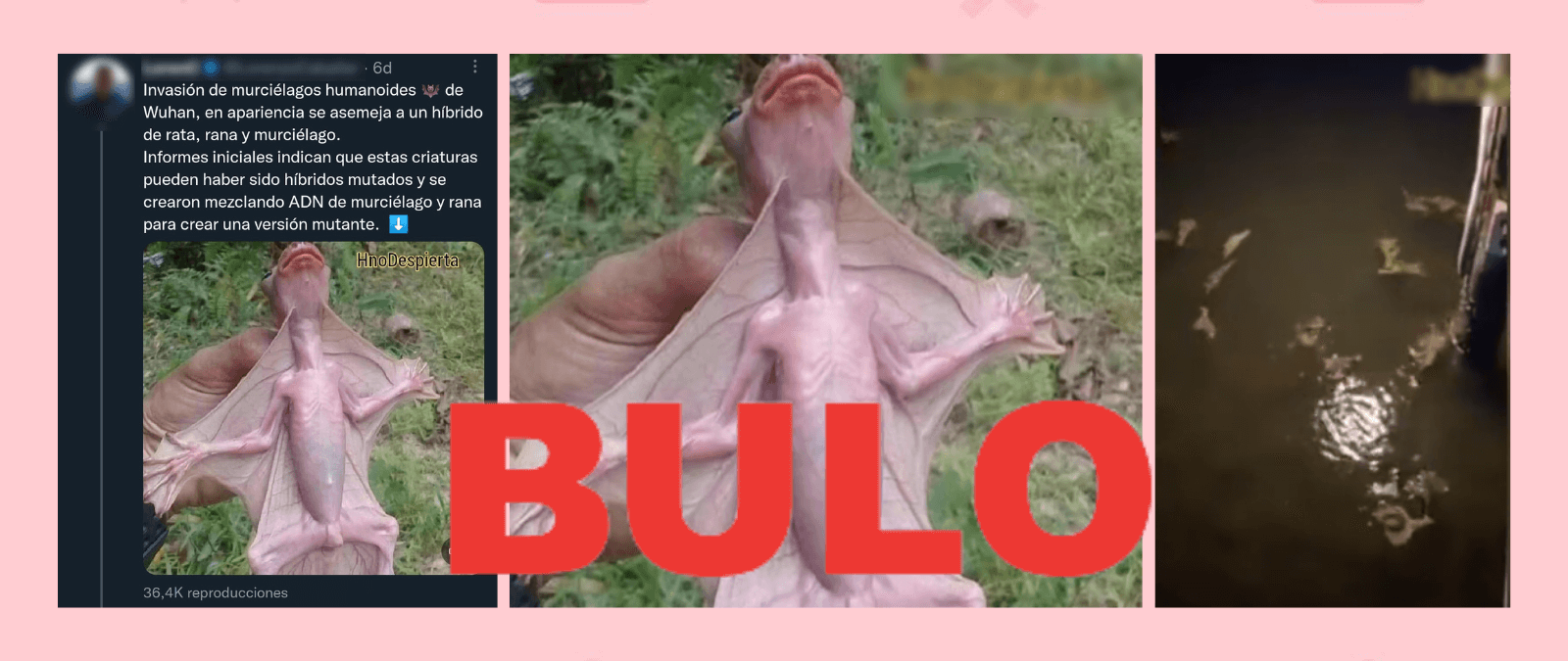 No, esta imagen no es un murciélago humanoide ni una criatura “híbrido ...